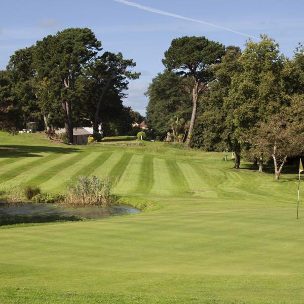 Memberships - Golf19